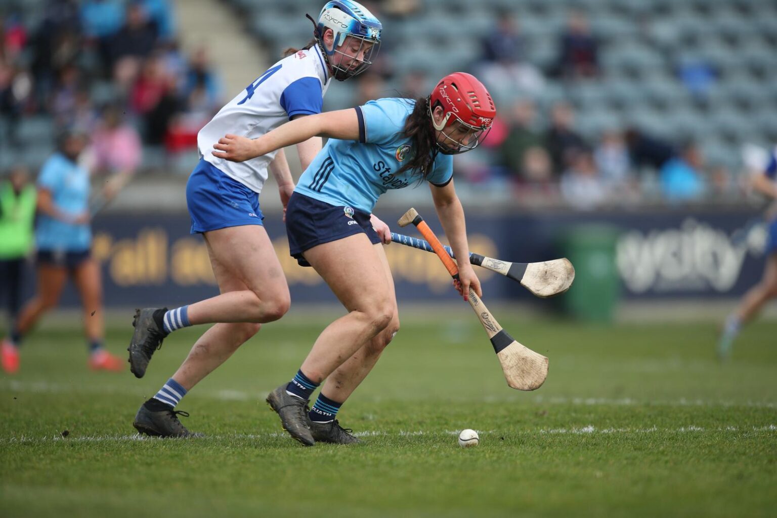 Waterford Camogie – Official Website