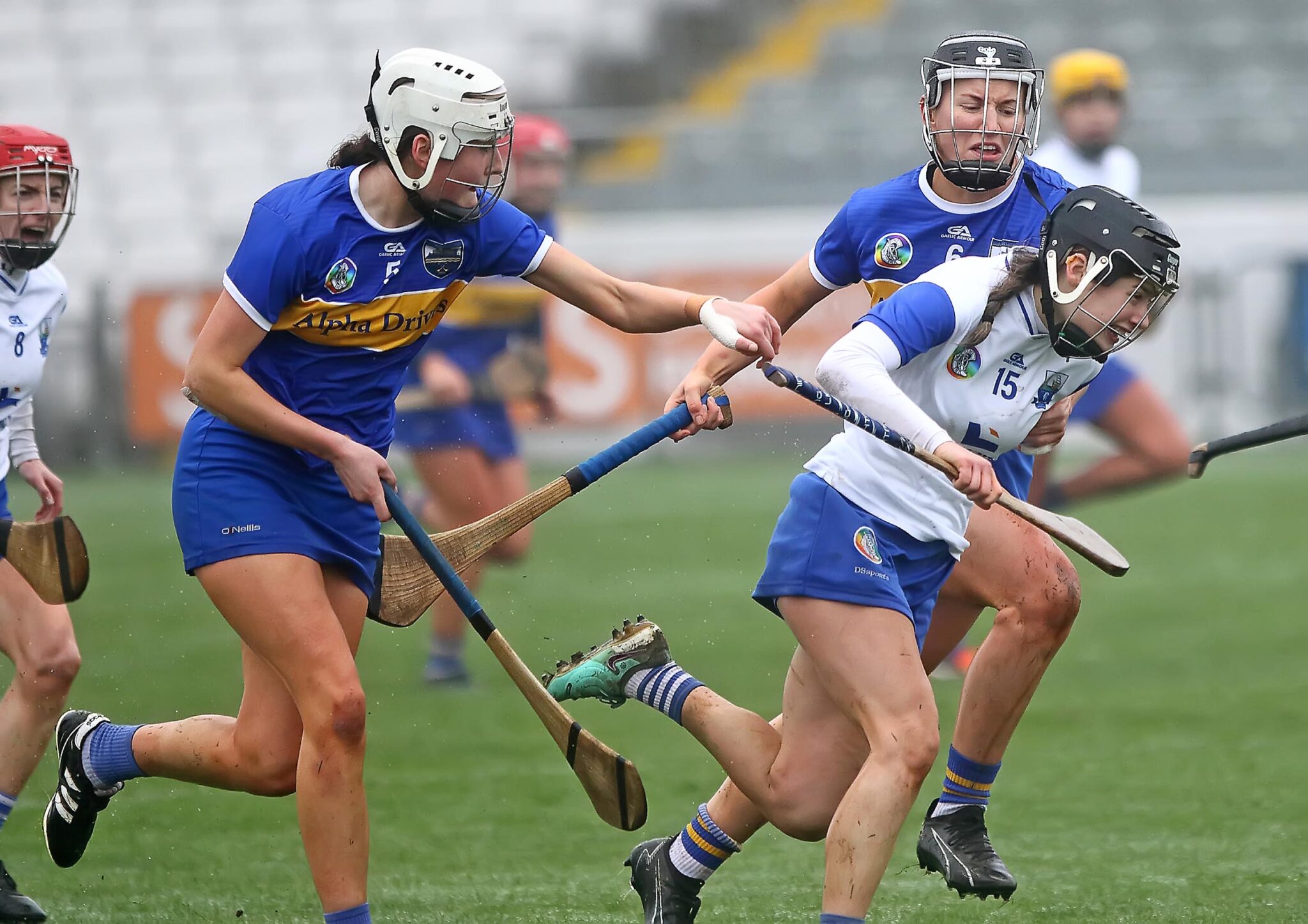 Waterford v Tipperary – Div.1A All-Ireland National Camogie League on ...